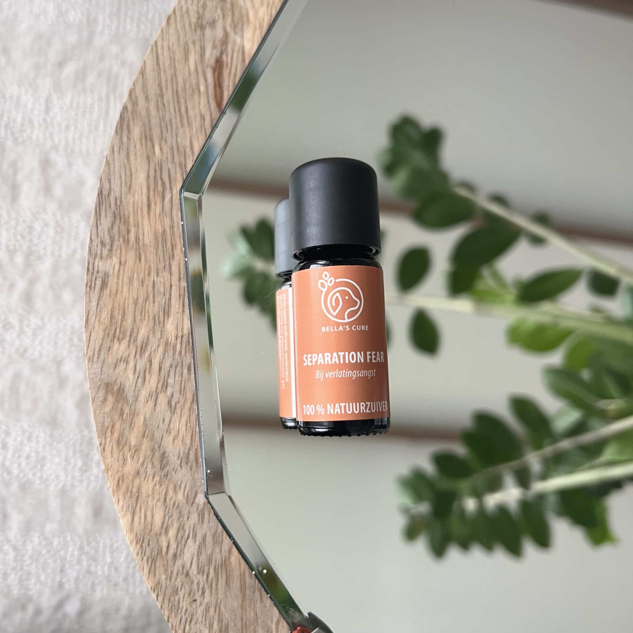 Seperation Fear; wanneer jouw dier moeilijk alleen kan zijn