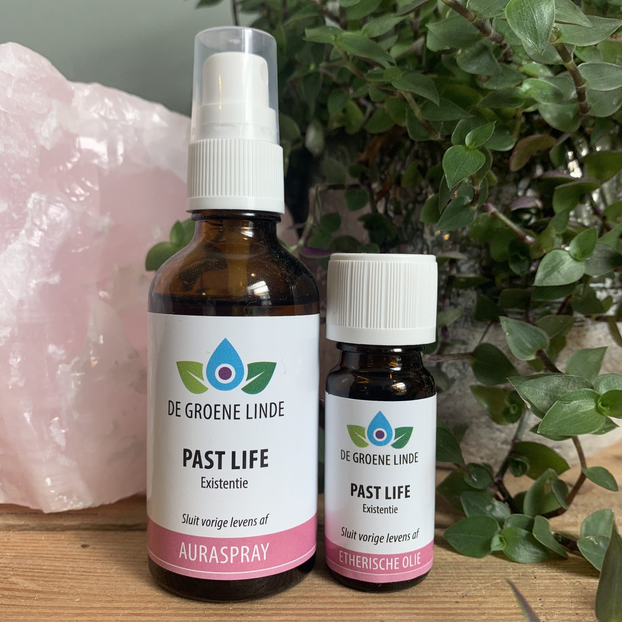 Past life trauma, Existentie - De Groene Linde