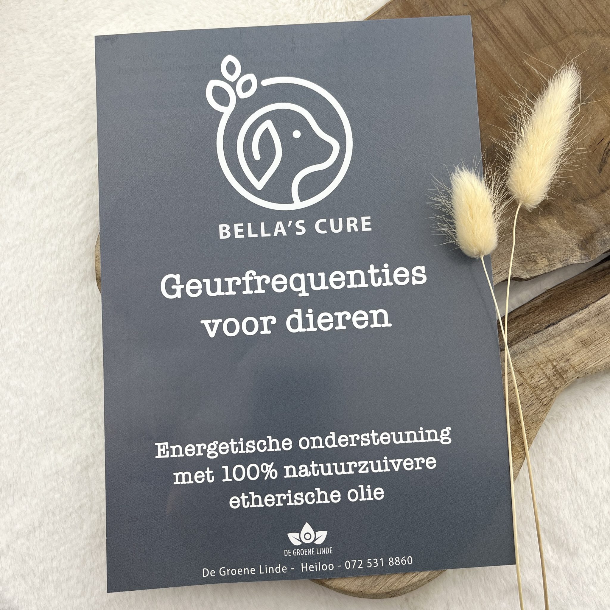 Flyer Bella's Cure - De Groene Linde