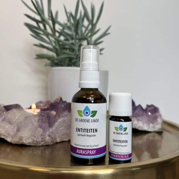 Entiteiten, Spirituele Regulatie - De Groene Linde