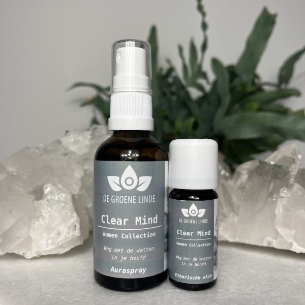 Focus & Concentratie - De Groene Linde