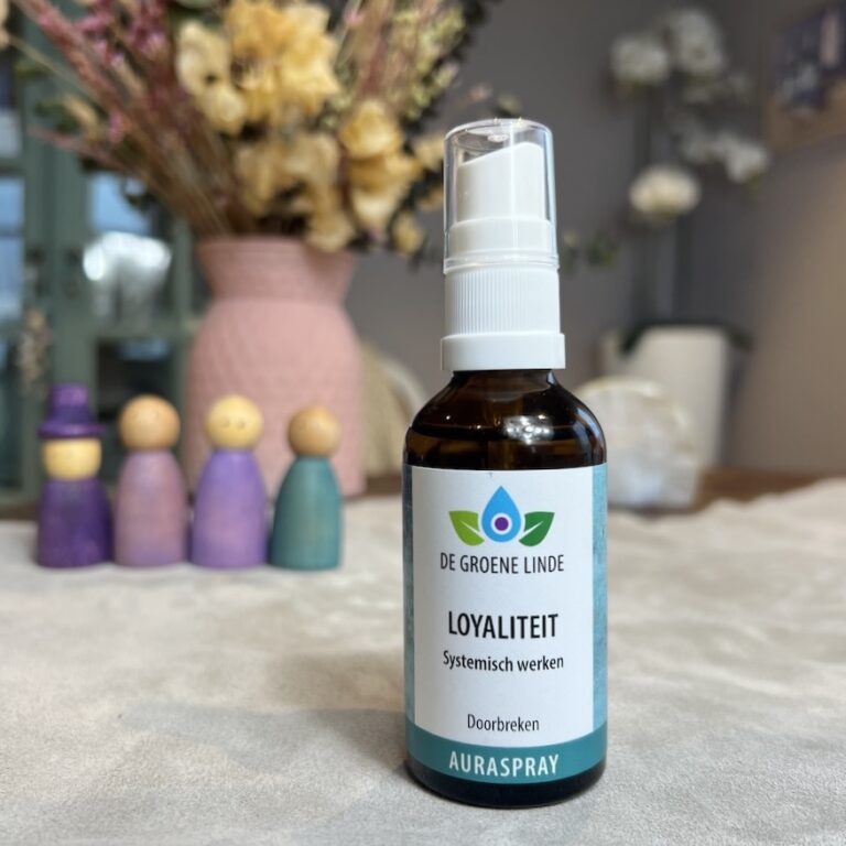 Systemisch werken - De Groene Linde