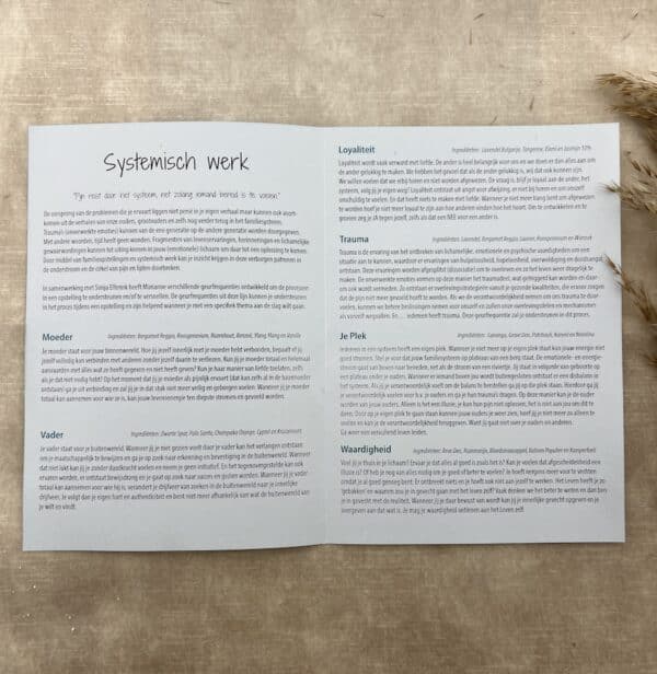 Flyer Systemisch werken - De Groene Linde