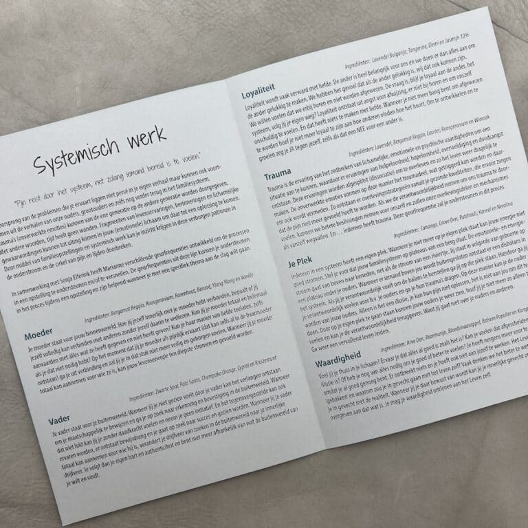 Systemisch werken - De Groene Linde