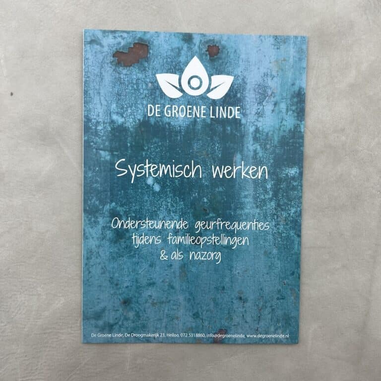 Flyer Systemisch werken - De Groene Linde